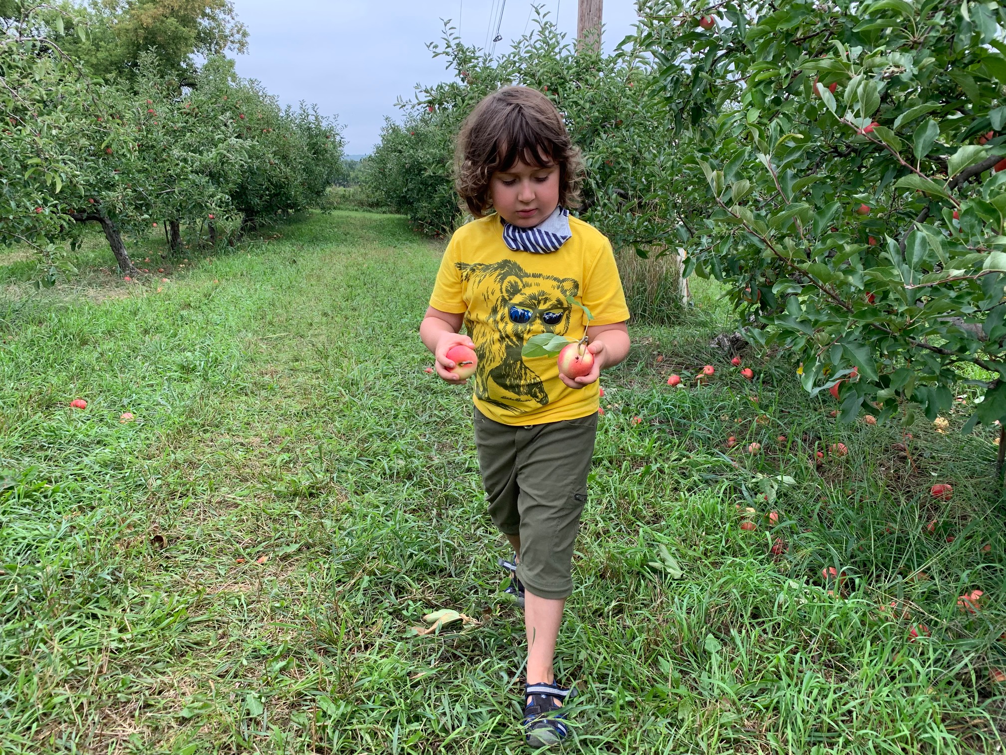 High Holidays 2020 Was An Epic Team Effort! Thank You To All Of Our ...